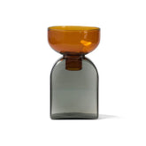 amabro – The HARVEST Collection